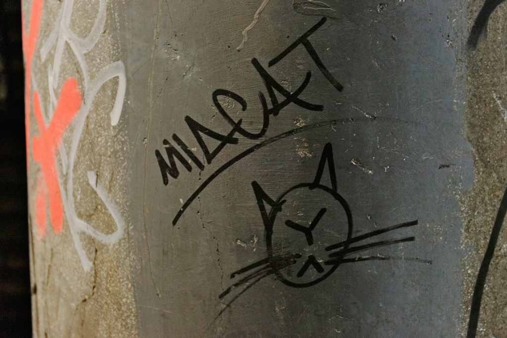 MiaCat | Muros hablados